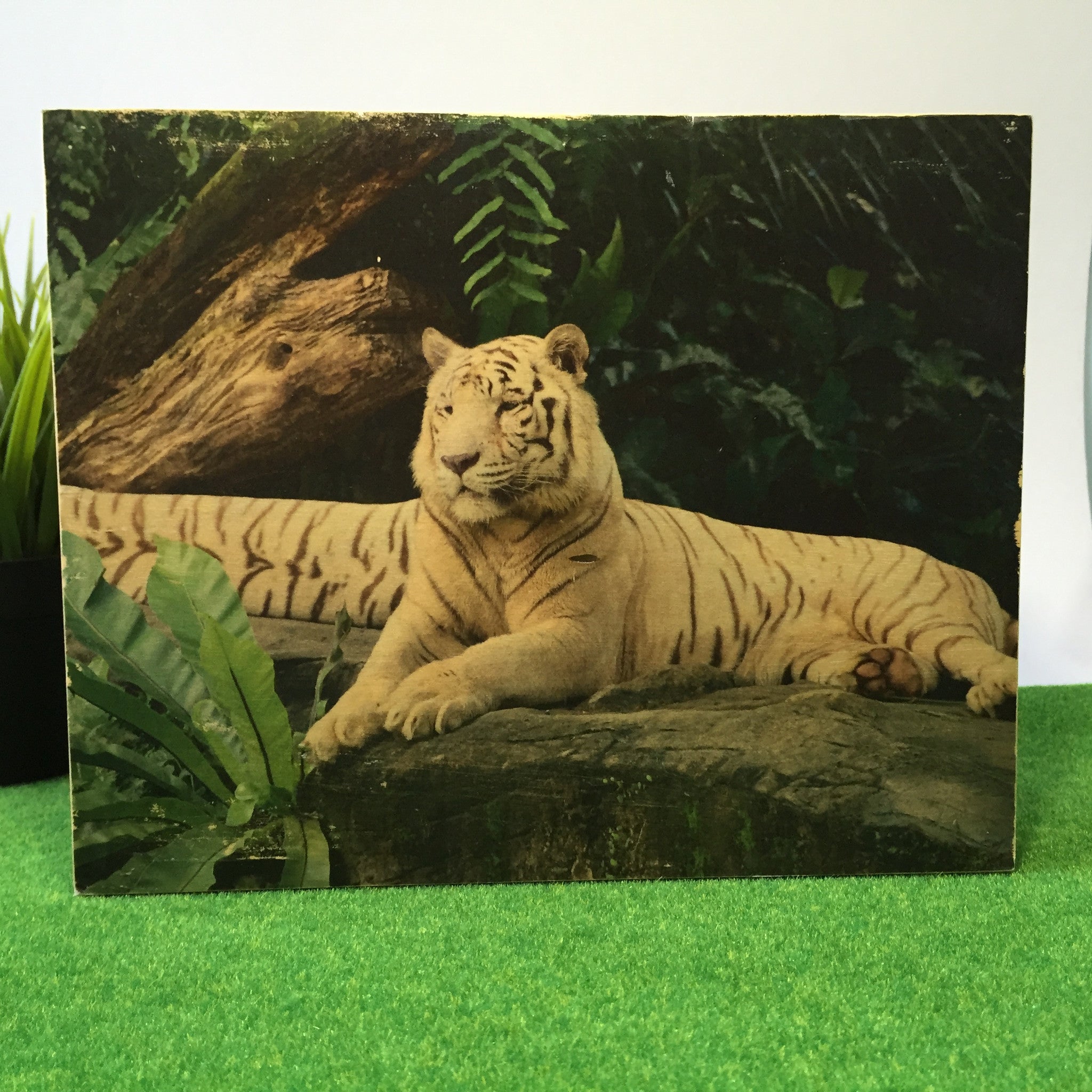 Bengal Tiger Habitat Diorama